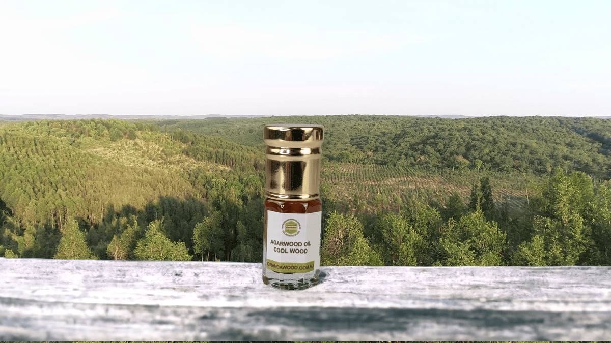 Cool Wood - 100% Pure Supercritical Co2 extraction Oud oil - Grandawood ...